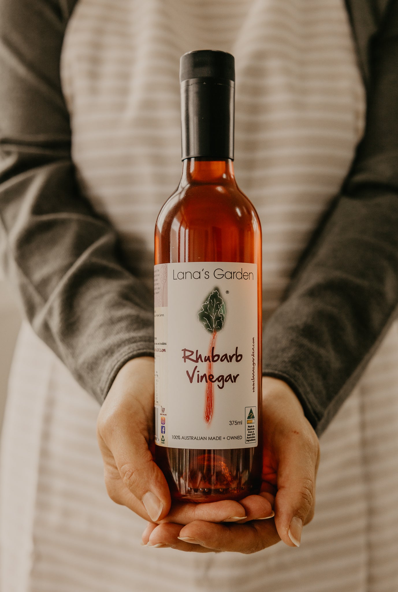 Rhubarb Vinegar – Lana's Garden